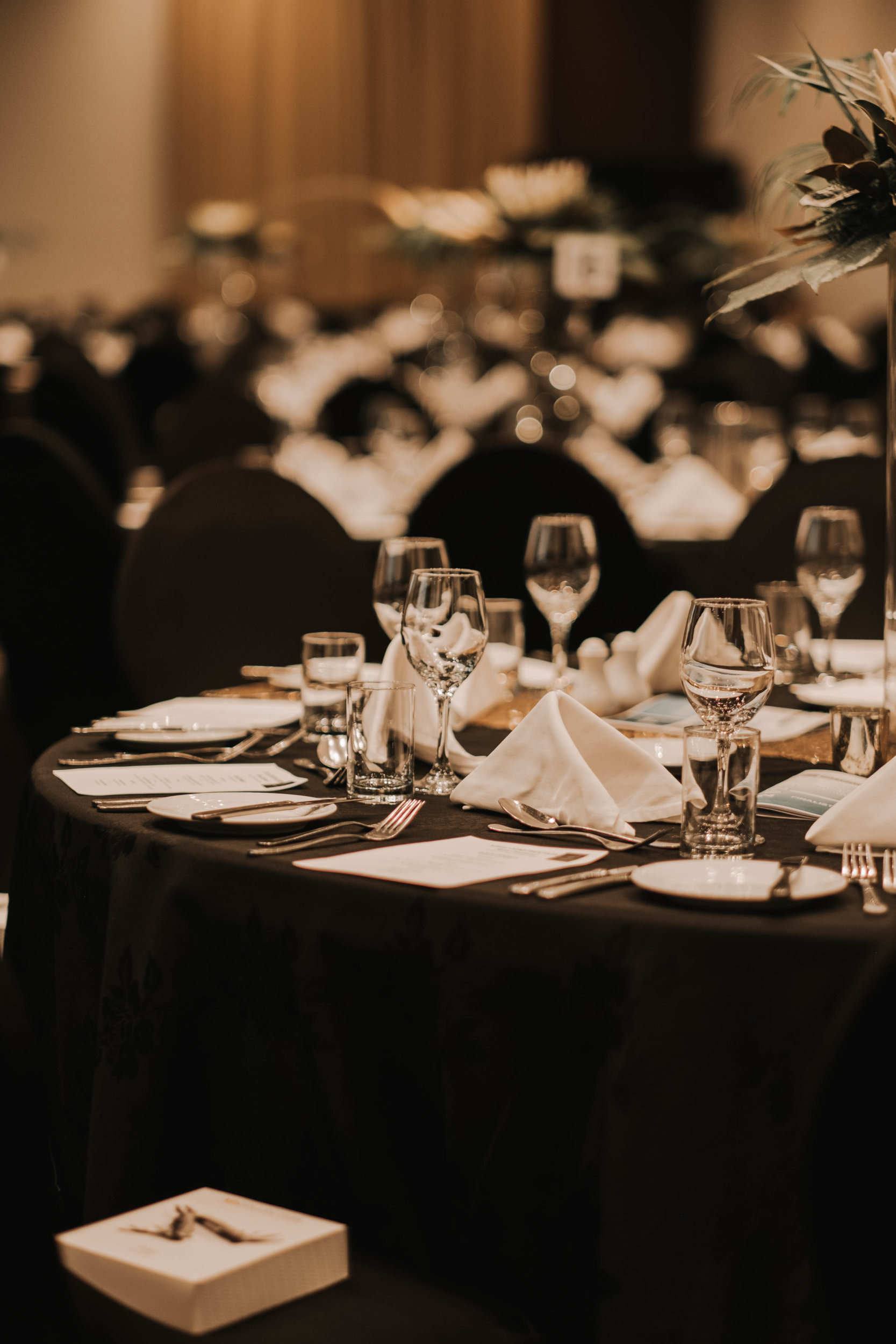 2022 Gala Dinner - Nelson - Steel Construction New Zealand